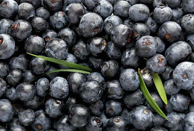 5 REASONS WHY ACAI BERRIES ARE AMAZING ANTIOXIDANTS - Plixlife