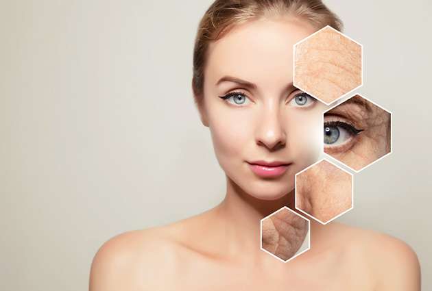 6 Key Ingredients To Boost Collagen For Skin - Plix
