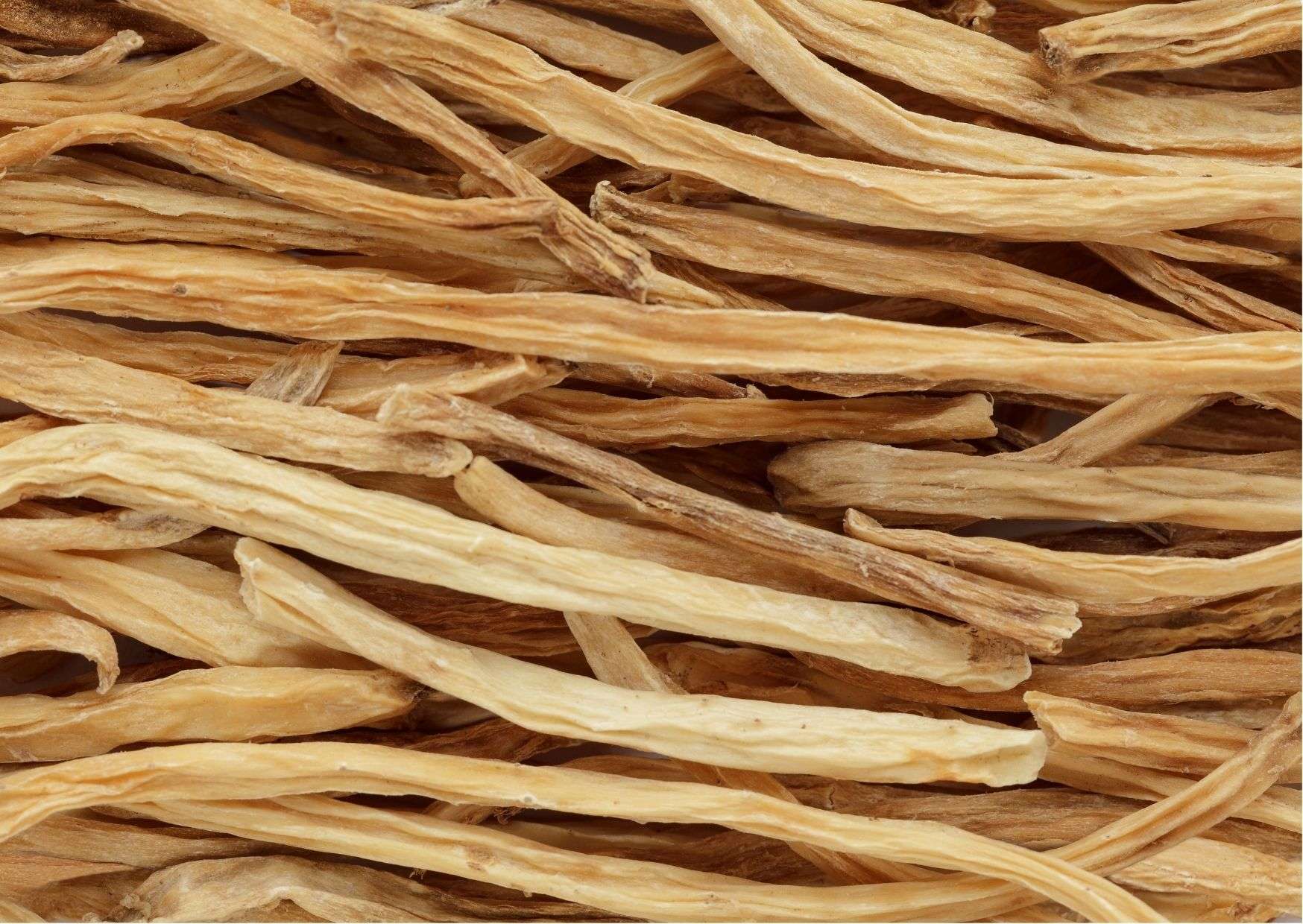 What Is Shatavari? - Plixlife