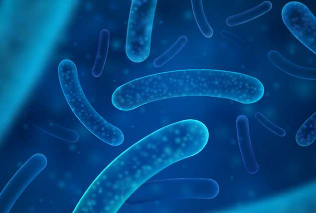 What Are Probiotics? Pre And Probiotic Capsules Dosage, Their Uses ...
