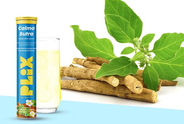 Ashwagandha - Uses,Benefit, Side Effects, And More - Plix