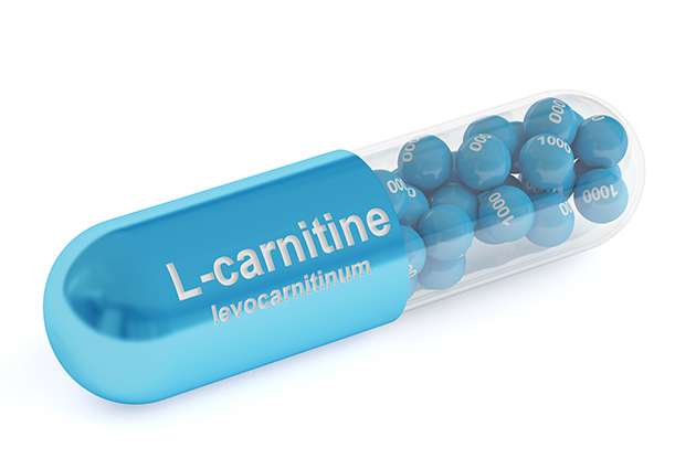 9 Tips For Finding The Best L-Carnitine Supplement - Plixlife