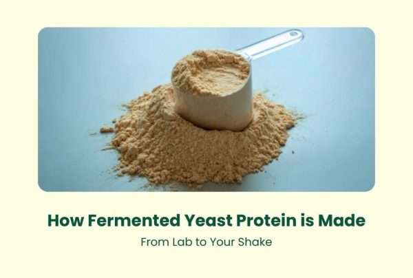 How Fermented Yeast Protein Is Made: From Lab To Your Shake - Plixlife