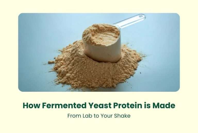How Fermented Yeast Protein Is Made: From Lab To Your Shake - Plixlife